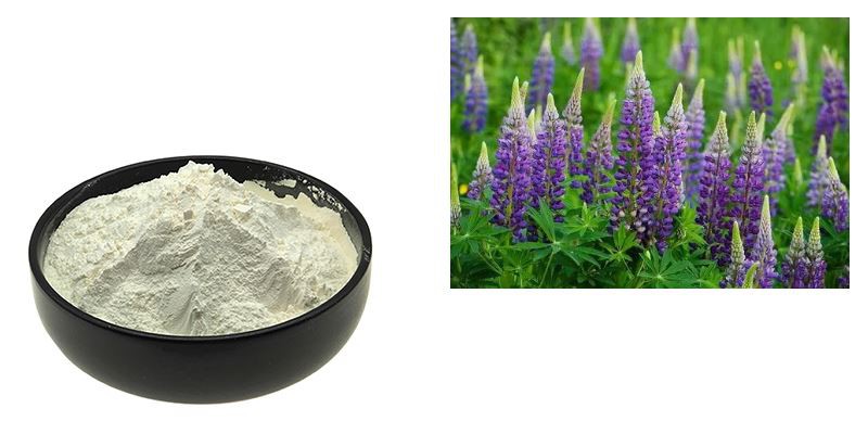 China High Quality Hydrolyzed Lupine Protein Manufacturers Suppliers ...